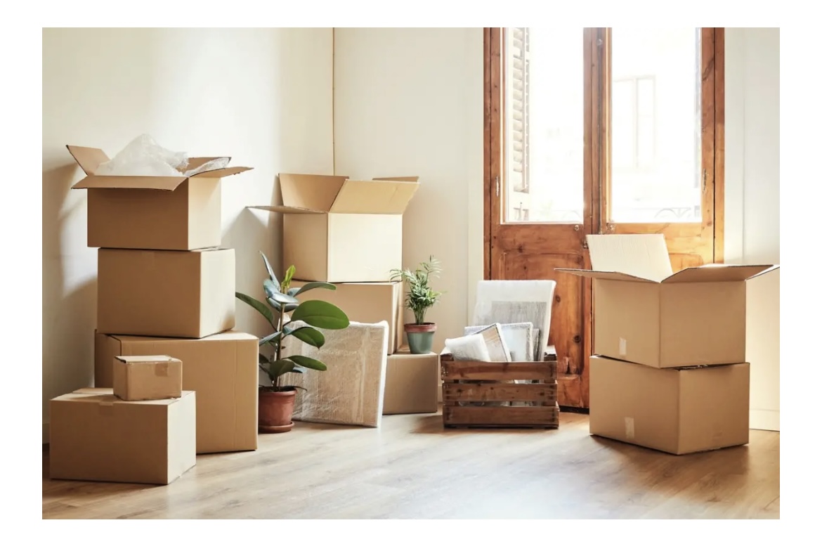 Donna's Place For Everything – Donna Balkovic, Professional Organizer